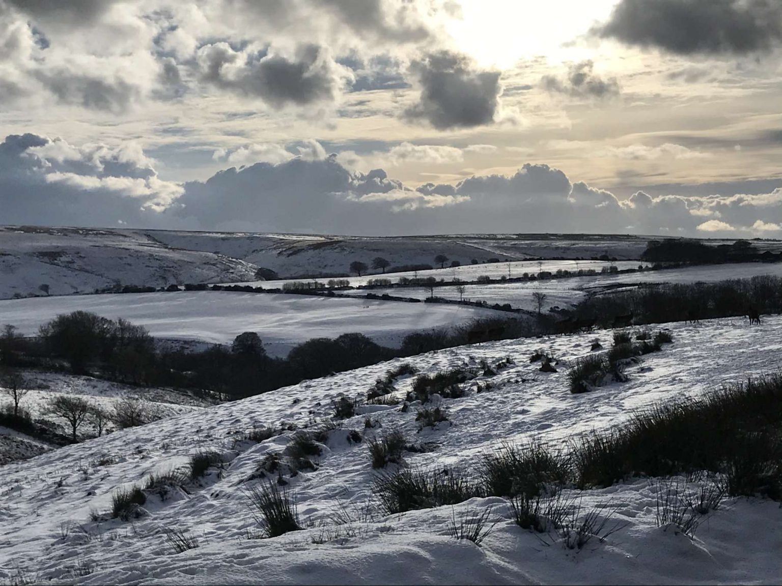 The Exmoor Forest Inn - At the heart of Exmoor National Park