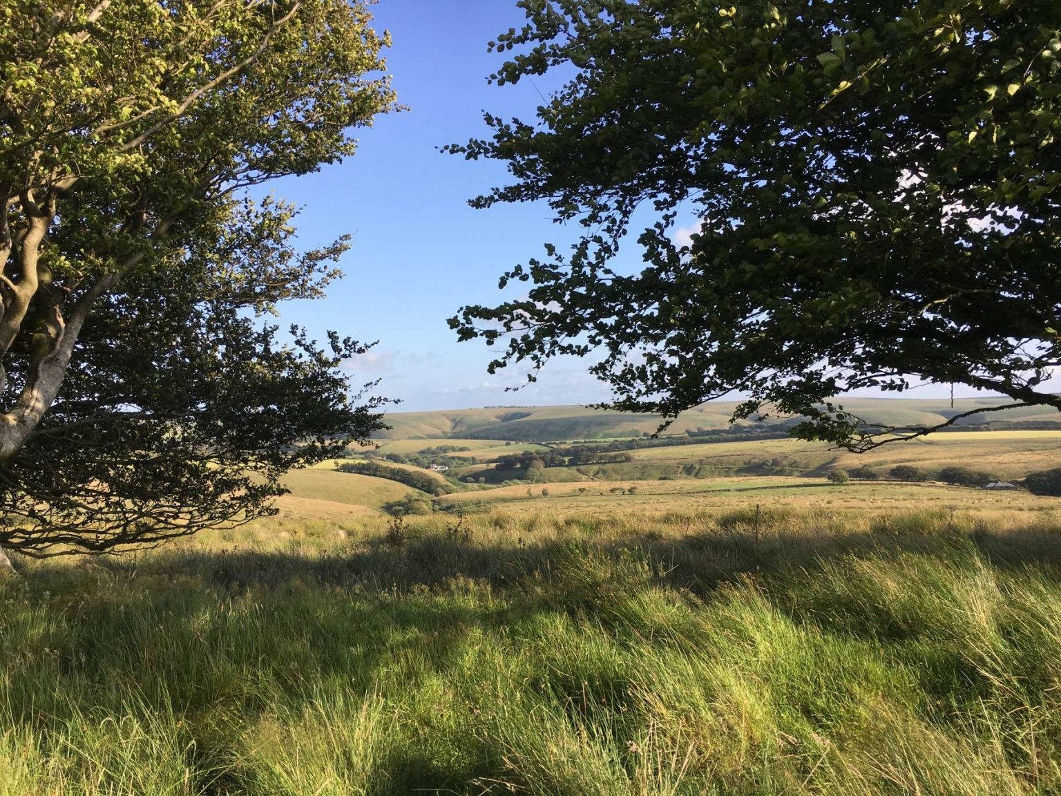 Stay - Exmoor Forest Inn