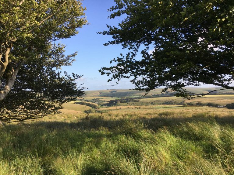 Stay - Exmoor Forest Inn