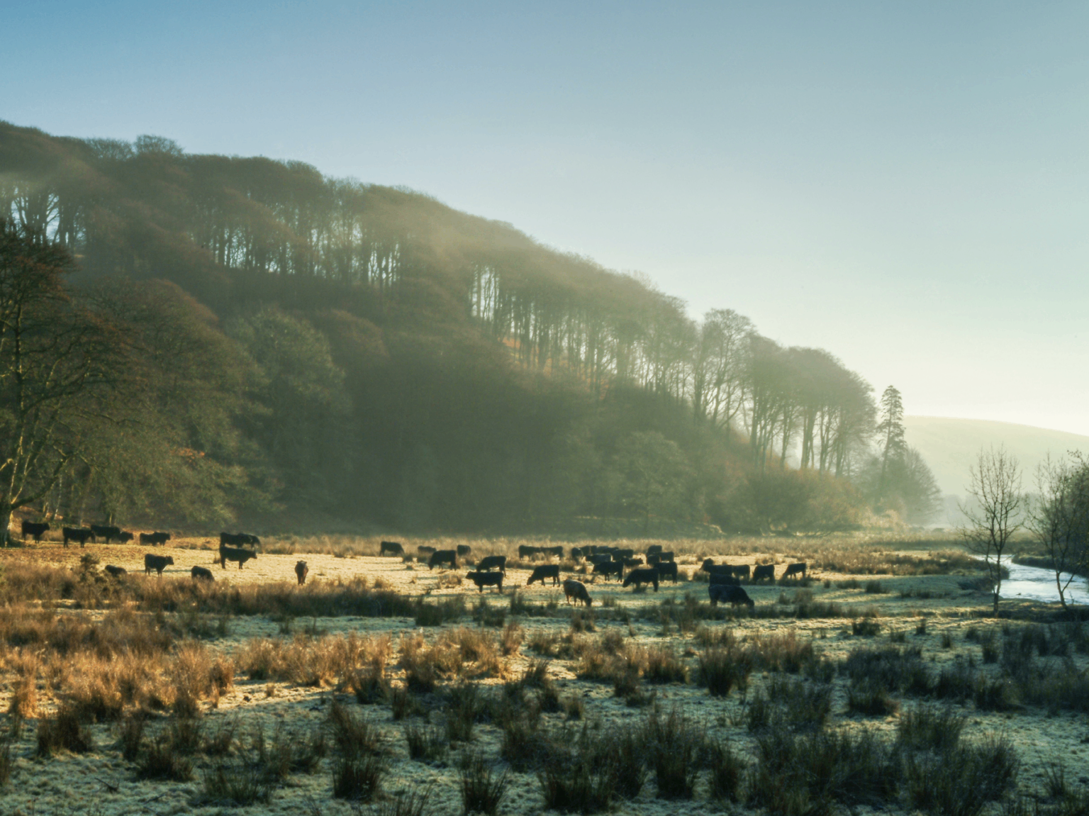 The Exmoor Forest Inn - At the heart of Exmoor National Park